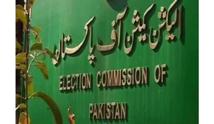 ECP Starts Scrutiny Of Nomination Papers For Local Bodies’ Polls In 32 ...